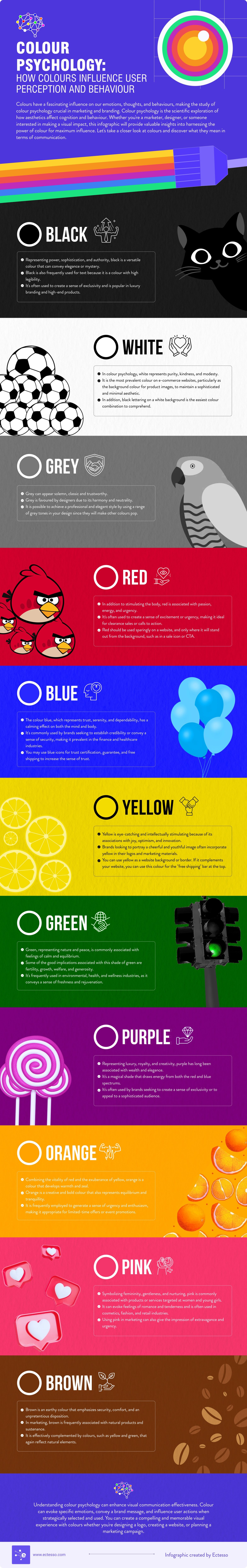 How Colour Psychology Influences User Perception - Infographic | Ectesso